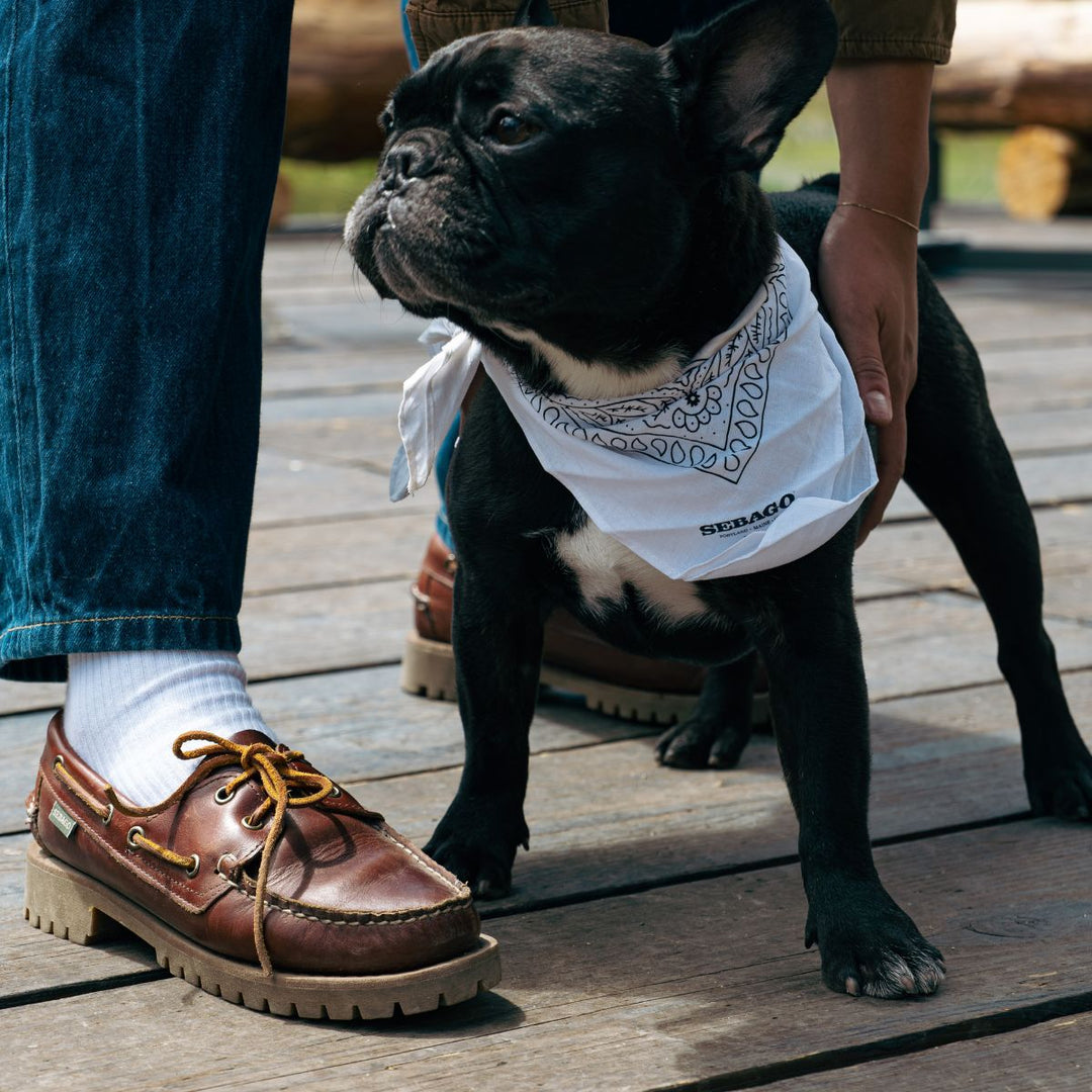Chaussures Docksides pour Homme | Sebago